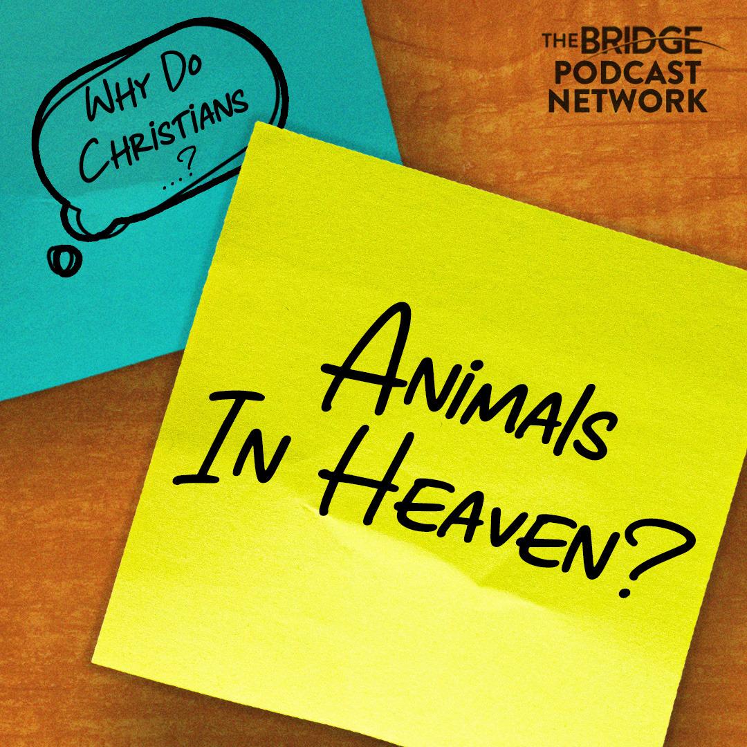 Why Do Christians Think Dogs Go To Heaven? - Why Do Christians ...